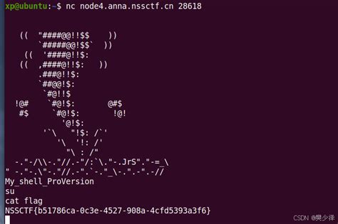 Nssctfpwn Csdn博客