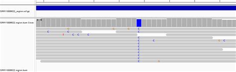 GATK Haplotype Caller Struggling To Find Variant That Exists GATK