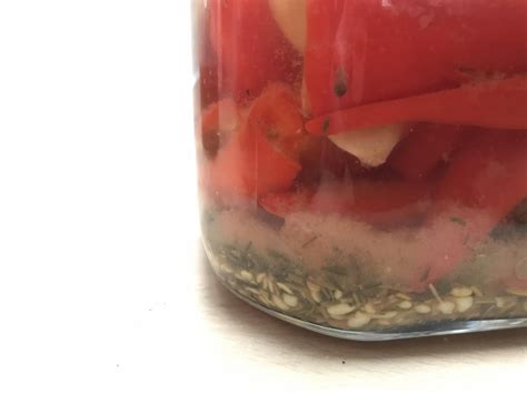 First Ferment For Me Is This Fuzzy Cloudy Stuff Normal About 13 Days In R Fermentation