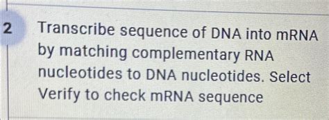 solved 2 ﻿transcribe sequence of dna into mrna by matching