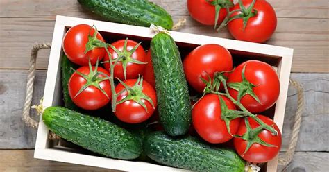 Stubborn Grass 10 Amazing Benefits And Side Effects