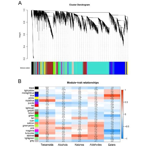 Co Expression Network Analysis Of Transcriptomes In Relation To Aroma