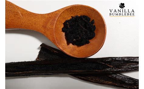 Vanilla Bumblebee 10 Tahitian Vanilla Beans Gourmet Grade