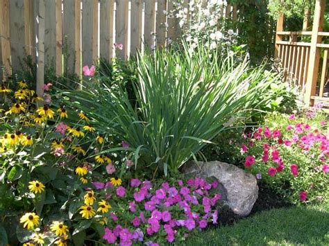Low Maintenance Flower Bed Plants At Donna Wasser Blog