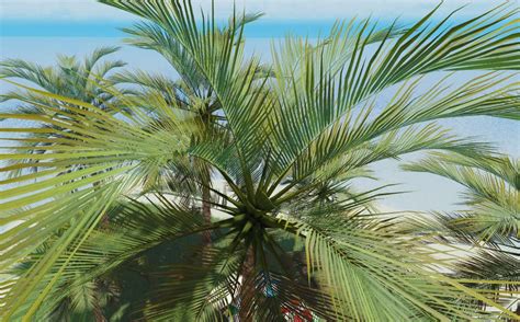 How To Reduce Lag From Game Community Tutorials Developer Forum