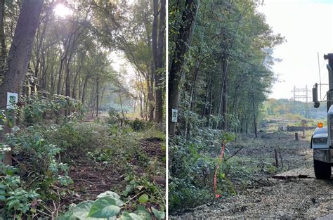 Eversource Tree Removal Angers Norwalk Land Trust Nancy On Norwalk