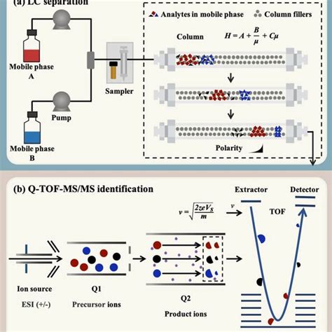 Pdf Lc Q Tof Ms Ms Detection Of Food Flavonoids Principle