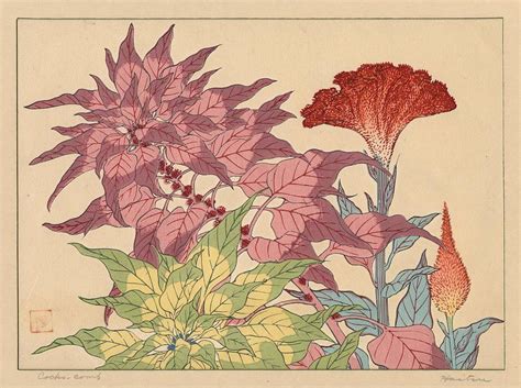 Cockscomb S Art Drawing By Sakai Hoitsu Japanese Fine Art America