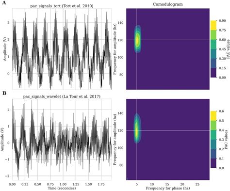Synthetic Signals To Simulate Phase Amplitude Coupling Illustration Of
