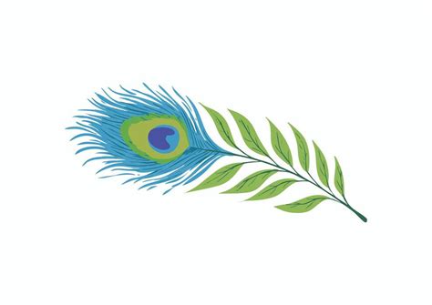 Peacock Tail Vector Art Icons And Graphics For Free Download