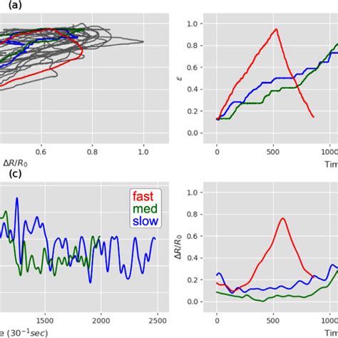 Strain And Electrical Resistance Behaviour Of The Cnt Composite Sensor