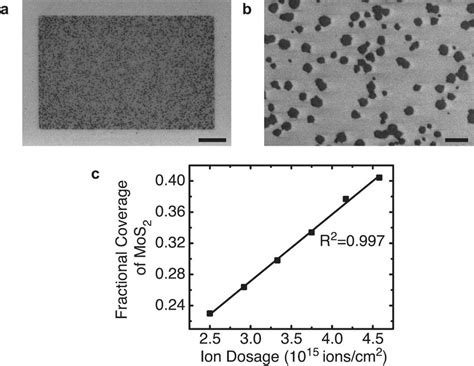 Mos2 Coverage In High Sulfur Growth A Electron Microscopy Image Of Download Scientific