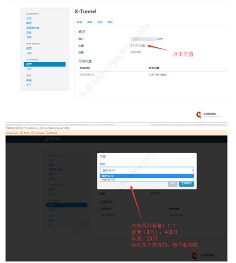 x tunnel比gaeproxy快好多啊，什么样的方法才能获得更多流量？ · issue 2521 · xx net xx net