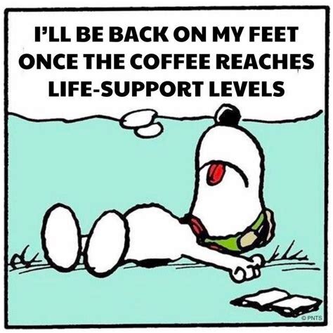 55 Snoopy Ideas Snoopy Snoopy Quotes Snoopy Love