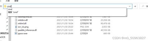 Paddleocr字符 C，visual2022windows10配置vs2022 Paddleocr Csdn博客