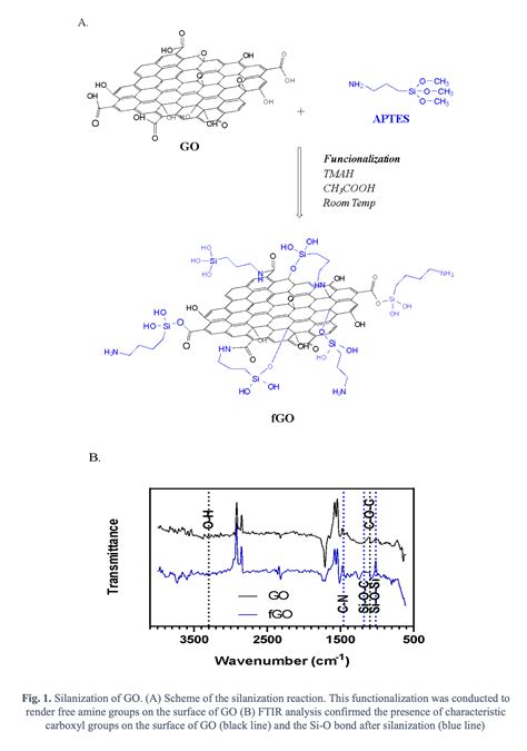 Synthesis Characterization And Functionalization Of Graphene Oxide Based Nanoplatforms For