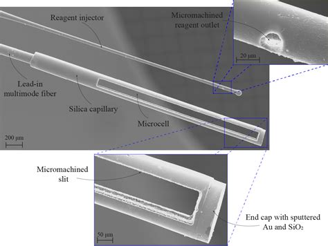 All Silica Micro Fluidic Flow Injection Sensor System For Colorimetric