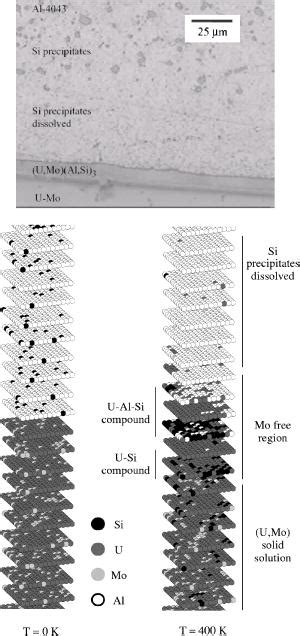 Role Of Si On The Al Behavior In The Reaction Layer Of Al∕umo Diffusion