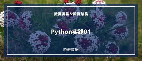 Python实践01 数据类型与数据结构 知乎