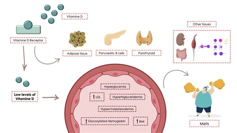 Vitamin D Dosing Levels Form And Route Of 42 Off