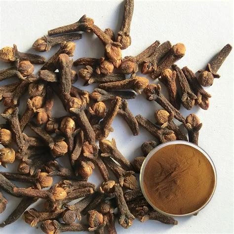 Clove Powder Uses Advantages Manufacturing Processes