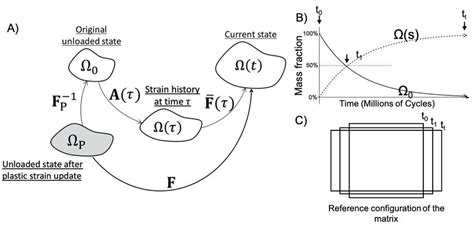Illustration Of The Permanent Set Effect Under Cyclic Uniaxial Loading