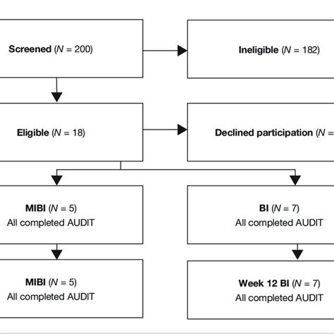 Participants Through The Randomisation And Trial Download Scientific