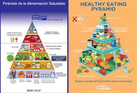 Pin En Alimentación