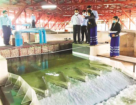 ရေလှောင်တမံ၊ ရေလွှဲဆည်၊ ရေပိုလွှဲ၊ လက်တံမြောင်း၊ စံချိန်စံညွှန်းနှင့