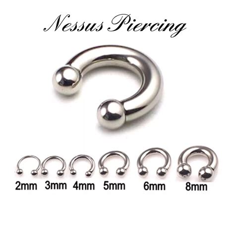 Prince Albert Piercing Body Jewelry At Humberto Watts Blog