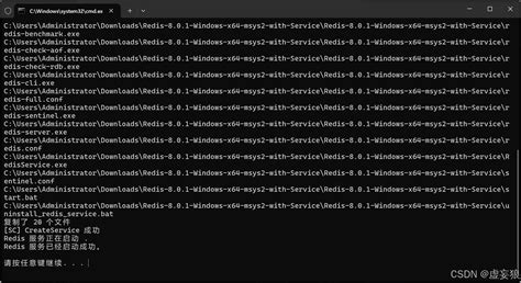 【redis8】最新安装版与手动运行版 Csdn博客