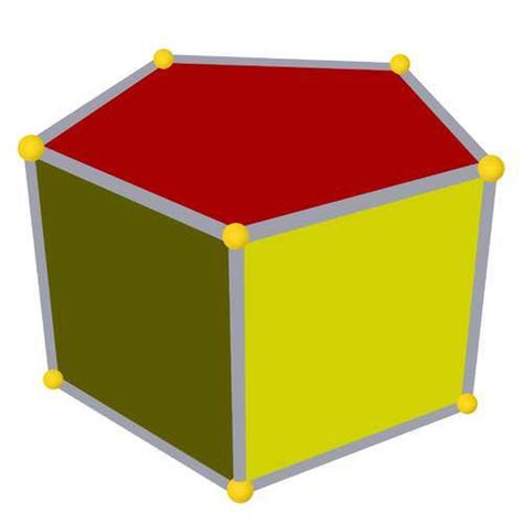 Solved Describe The Cross Sections Of A Pentagonal Prism That Are Parallel Or Perpendicular To