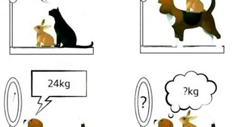 Hows Your 5th Grade Arithmetic Imgur