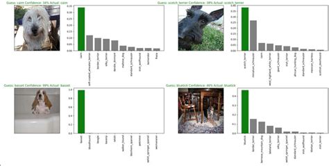 Opentowork Machinelearning Datascience Dataanalytics Amber L