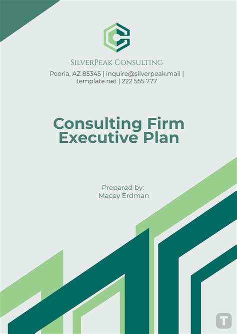 Free Consulting Firm Executive Plan Template To Edit Online