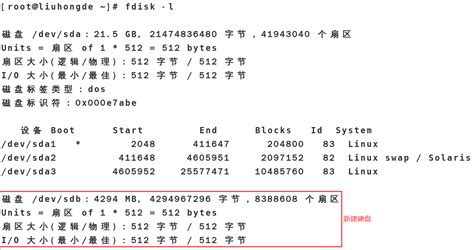 Linux基本命令的应用 53参考综合实训案例81在虚拟机中为系统添加2gb一个硬盘并将其格式化为ext4文件 Csdn博客