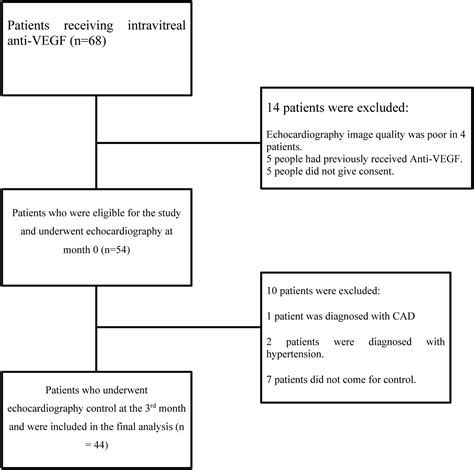 Investigation Of The Effect Of Intravitreal Bevacizumab Treatment On Left Heart Function Using