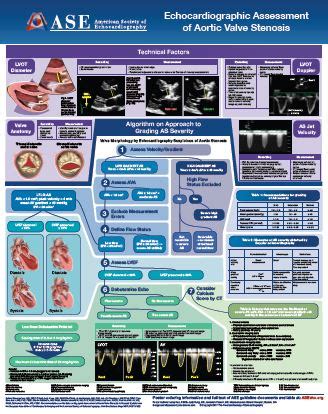 Aortic Valve Stenosis Poster