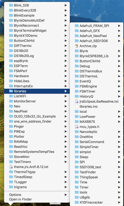 Private Libraries Should Ignore Files Starrting With A When Deciding Wether A Folder Is A
