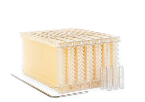 Flow Hive 2 Honey Straight From The Beehive Flow Hive Us