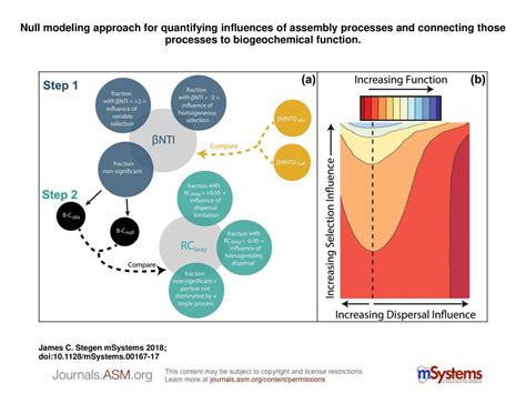 null modeling approach for quantifying influences of assembly processes