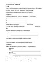 PreLab DNA Extraction Docx Lab DNA Extraction Strawberries Pre Lab 1 Go To The Following