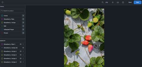 Annotate Your Image Dataset By Akosuanyarkoa Fiverr