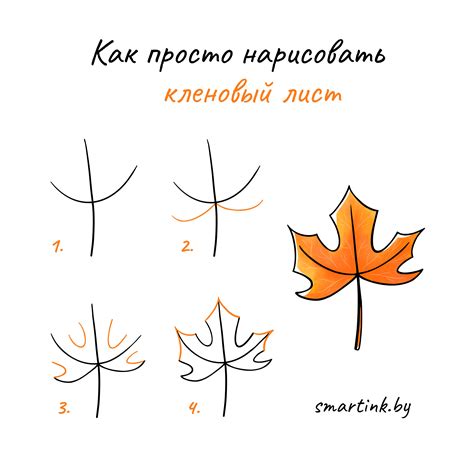 Как нарисовать кленовый лист пошаговая инструкция