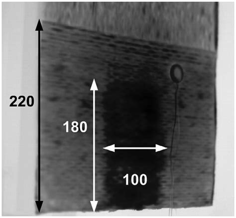 Specimen Defect Sizes In Mm Download Scientific Diagram