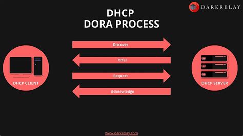 Darkrelay Security Labs On Linkedin Cve 2023 28231 Dhcp Server Remote