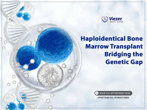 Science Behind Haploidentical Bone Marrow Transplant