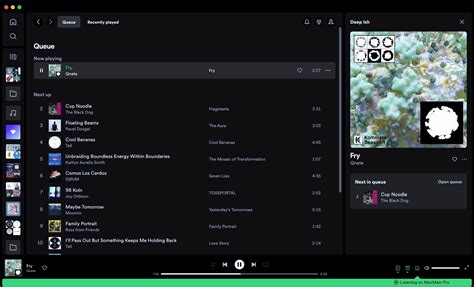 return expanded queue view not only sidebar for the spotify