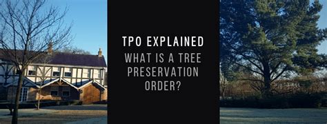 What Is A Tree Preservation Order TPO Stay On The Right Side Of The Law