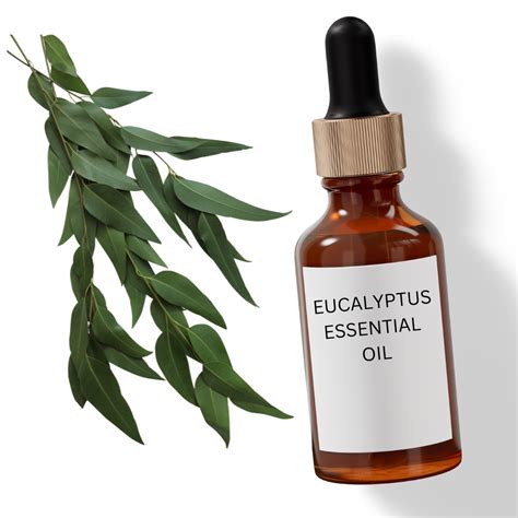 Eucalyptus Oil